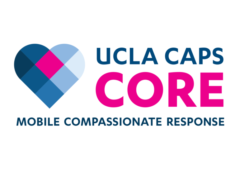 The Be Well Bruin Guide | Be Well Bruin